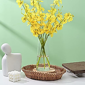 WellSign Clear Glass Vases for Flowers Decor, 8 Inch Modern Ins Boho Handmade Vases for Centerpiece Table Home Indoor Decor, Ins Boho Style Vase for Wedding Housewarming and Thanksgiving Day Gift