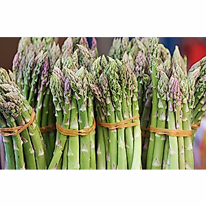 Seeds Asparagus White Giant Vegetable Garden Heirloom for Planting Non GMO