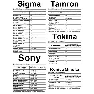 Wimberley MH-100 Wimberley MonoGimbal Head - Made in USA