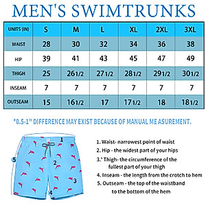 Biwisy Mens Swim Trunks Quick Dry Beach Shorts Casual Swimming Trunks with Pockets Drawstring Shorts Blue