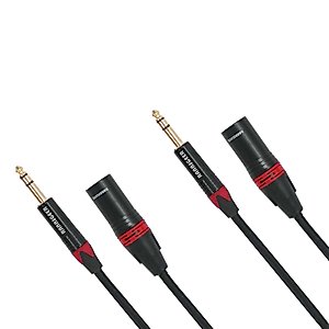 Rannsgeer 2 Pack 1/4 Inch TRS to XLR Male 1 Feet Cable (1 Ft 2 Pack)