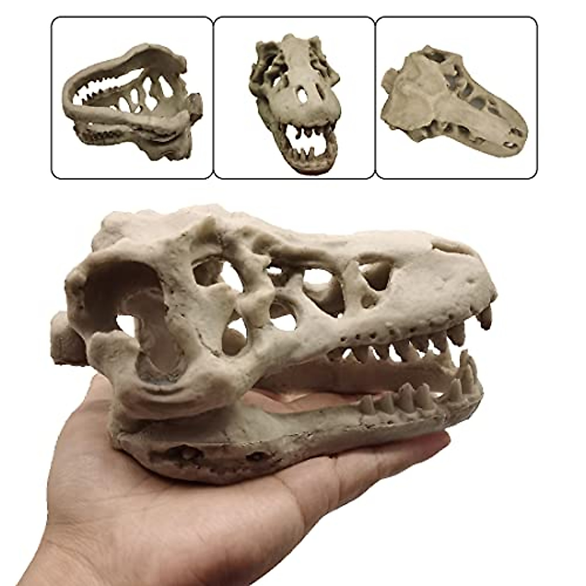 Hamiledyi Bearded Dragon Tank Accessories Reptile Dinosaur Skull Hideout Decor Reptile Climber Jungle Vines Artificial Leaves for Iguana Lizard Chameleon Snake Frog Gecko Frogs(3 PCS)