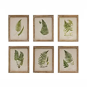 Creative Co-Op Wood Framed Wall Decor Portrait with Fern Fronds, Multicolor, Set of 6