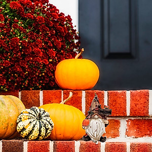 Needzo Cute Autumn Welcome Sign Garden Gnome Holding a Pumpkin, Fall Gnomes for Yard Decoration, Thanksgiving Porch Decorations, 6 Inches