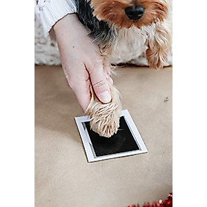 Pearhead Dog or Cat Personalized Memory Box Keepsake, Pet Rainbow Bridge Memorial Urn, Modern Pet Burial Tabletop Urn