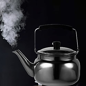 Lurrose Whistling Tea Kettle 1QT Stainless Steel Teakettle with Cool Grip Handle Whistling Teapot for Stovetop