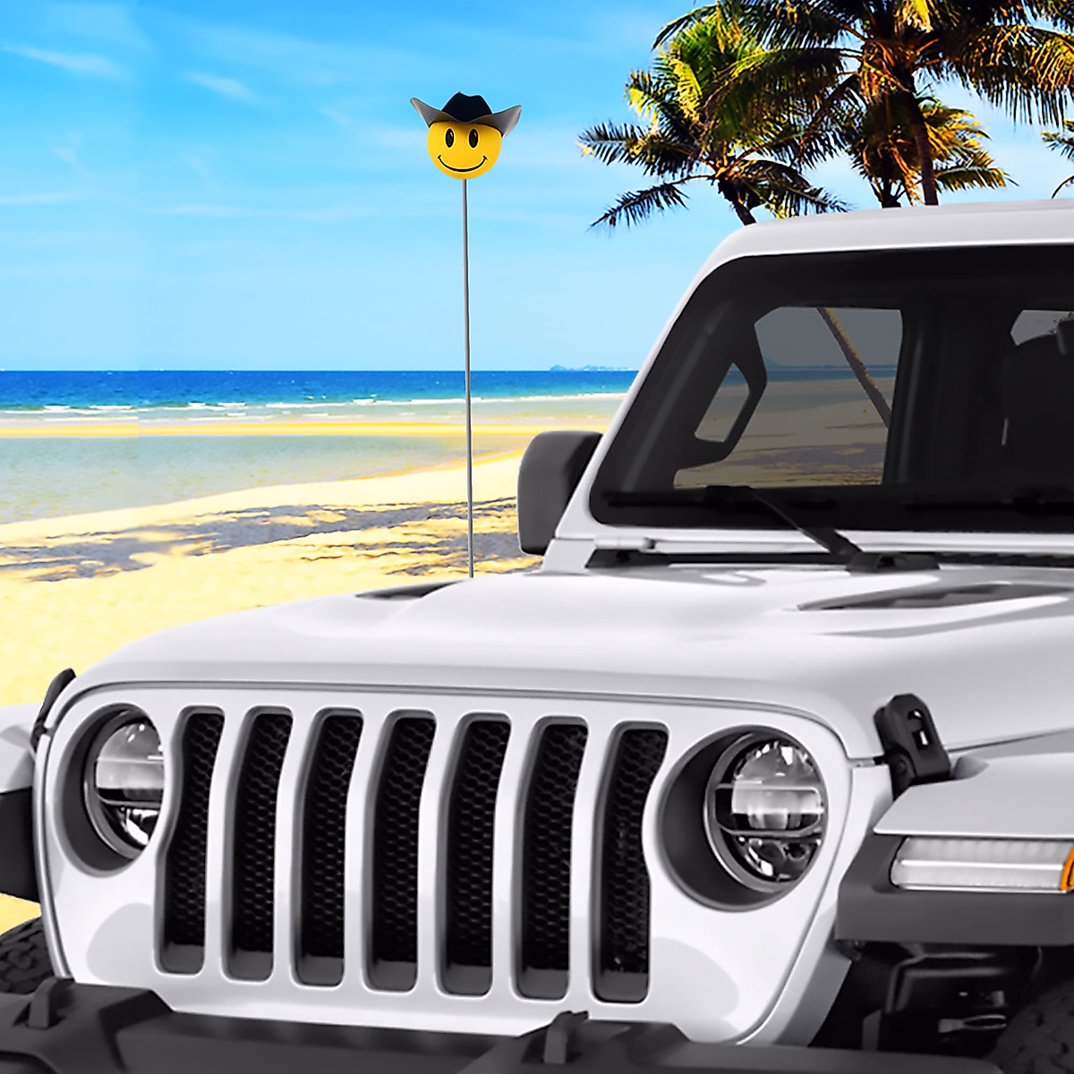 HappyBalls Cowboy with Black Hat Truck, Car, SUV Antenna Topper Auto Accessory