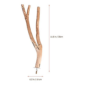 TEHAUX Parakeet Toys 2PCS Bird Parrot Perch Stand Set- Natural Wood Bird Parrot Stand Branches Fork Perch Rod Stand for Small Parakeets Budgies Cockatiels Conure Lovebirds Bird Cage Accessories