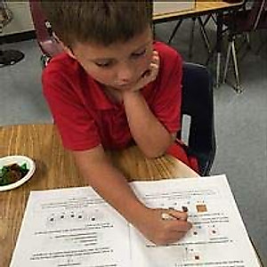 Developing Fractions Sense® A Class Set of 10 - Grade 3. A Concrete and Visual Introduction to Fractions. Includes 10 Student workbooks, 10 Sets of Fraction manipulatives, Teacher Set and Answer Key.