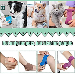 24Pack Self Adhesive Tape Vet Wrap Flex Bandages Leg Wrap Adherent Non-Woven for Dog Cat Horse Pet Animals Ankle Sprains & Swelling 2 Inch 5 Yards (Assorted Patterns)