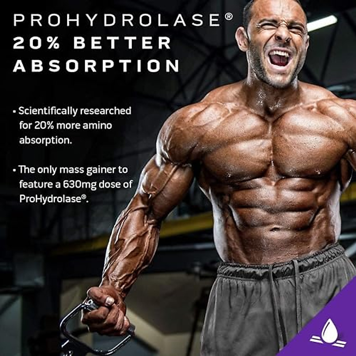 Mass Gainer Protein Powder | MuscleTech Mass-Tech Mass Gainer | Whey Protein Powder + Muscle Builder | Weight Gainer | Protein Powder for Muscle Gain | Creatine Supplements | Strawberry, 7 lbs