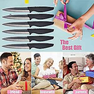 NANO ID Steak Knives Set of 6 Extremely Sharp Kitchen Ceramic Black Blade Knife