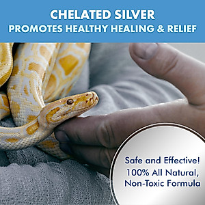PetSilver Wound Reptile, Snake & Lizard Formula with Chelated Silver - Made in USA - Vet Formulated - Natural Pain Free Formula - Relief Support for Skin Issues, Sores, Scale Rot 2 fl oz