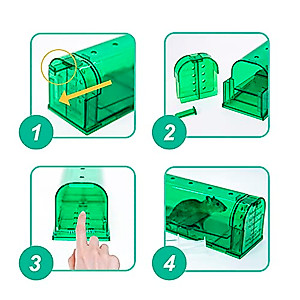 Vihoo Humane Mouse, mice, Rat, Trap, Catch, Release, Live Mouse Trap, House, Garage, Patio, Reusable, Indoor, Outdoor. (6 Pack), Green (HGMT002)