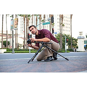 Vanguard Alta Pro 2+ 263AB 100 Aluminum Tripod with Alta BH-100 Ball Head and Multi-Angle Center Column for Sony, Nikon, Canon DSLR Cameras