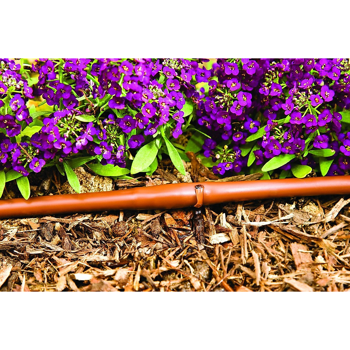 ML-506B ¼” 500’ MICROLINE™ Dripline, 6” Dual Outlet Emitter Spacing, UV-Resistant, Durable Poly Tubing for Garden Irrigation, Flexible, Water-Efficient, Easy Installation, Long-Term Use (Brown)