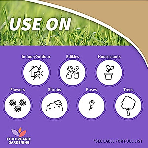 Bonide Captain Jack's Rose Rx 4-in-1 Insect & Disease Control, 32 oz Ready-to-Use Spray Neem Oil for Organic Gardening