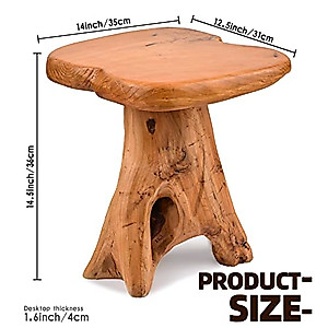 HOEGMST Small Side Table, Unique Design Live Edge Wood Stool, Freeform Natural Plant Stand for Garden, Yard, Living Room, Bedroom