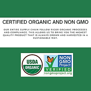 Organic Ginger Powder | 8 oz (226g) | USDA Organics and Non-GMO Verified Project Approved | Product of India | 100% Raw and Natural | Resealable Kraft Bag by SHOPOSR