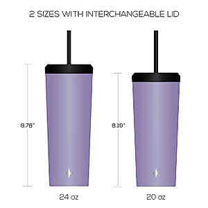 JoyJolt Vacuum Insulated 24 oz Tumbler with Lid and Straw (2 Each) Vacuum Double Wall Stainless Steel Tumbler, Copper Lined for 12Hr Hold/Cold Drinks. Leakproof Water Bottle, Tea or Iced Coffee Cup