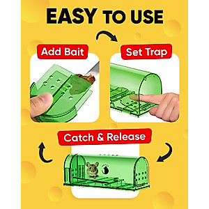 Motel Mouse Humane No Kill Live Catch and Release Mouse Traps, Reusable with Cleaning Brush - 4 Pack