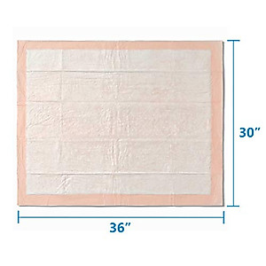 FitRight Heavy Absorbency Disposable Underpads, Super Absorbent Polymer and Fluff Core, 30" x 36", 100 Count