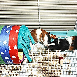 HOMEYA Guinea Pig Tunnel Kit,Pet Hideout Play Tube Hideaway Bedding+Small Animal Hammock&Cozy Bed Nest,Funny Toys and Cage Accessories for Ferret Rat Hamster Squirrel Chinchilla Sugar Glider-Rainbow