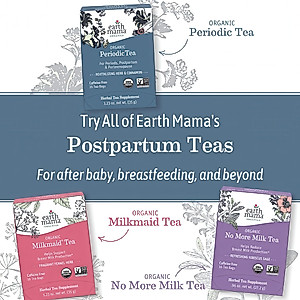Earth Mama Organic Raspberry Leaf Tea Bags |Labor Tonic + Menstrual Support, 16 Teabags Per Box (3-Pack)