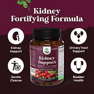 Kidney Support Supplement - High Strength Kidney Cleanse, Detox & Repair Cranberry Extract Capsules with Uva Ursi, Stinging Nettle & Java Tea - Urinary Tract Health & Bladder Cleanse Support - 60 Caps