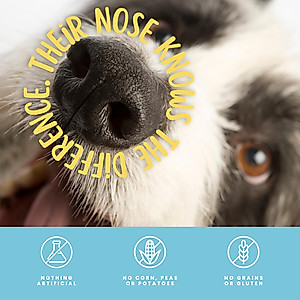 hotspot pets Bully Stick Rings for Dogs (10 Pack) - Premium All Natural Long Twisted Beef Pizzle Dog Chew Treats - Grain Free Fully Digestible Rawhide Alternative Thick Chew Circles