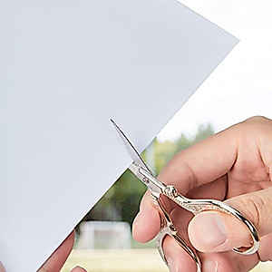 XCRUI 2Pack Embroidery Scissors, Stainless Steel Sharp Stork Scissors for Embroidery,Paper Cutting, Sewing, Craft, Art Work & Daily Activities(Gold)