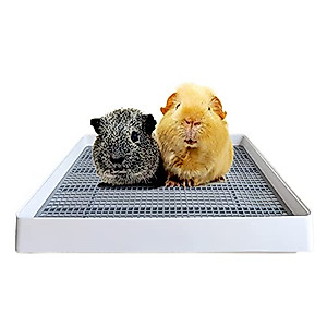 PODOO Rabbit Large Litter Box, Guinea Pig Training Pan Cage with Toilet Tray, Ideal for Rats, Hamsters, Ferret, Bunny Small and Medium Animals, 15x12x3 Inches (Medium)