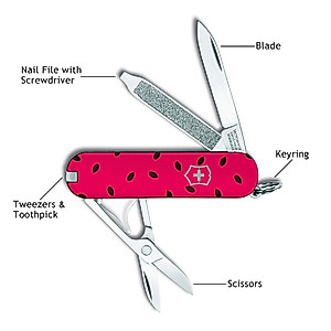 Watermelon Classic SD Swiss Army Knife by Victorinox