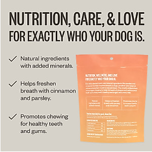 Ollie Belly Rubs Dog Probiotic Chews - Probiotics for Dogs and Ollie Dental Chews for Dogs XS- Dog Breath Treats
