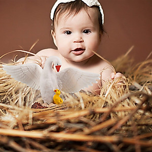 LC JoyCre 4.5 Inch Mother Swan Figurine with Baby Goose Toy White Swan Toy Animal Figure for Toddlers Preschool Animals Figures Eduactional Project Diorama Model Toy for Kids 3 4 5 6