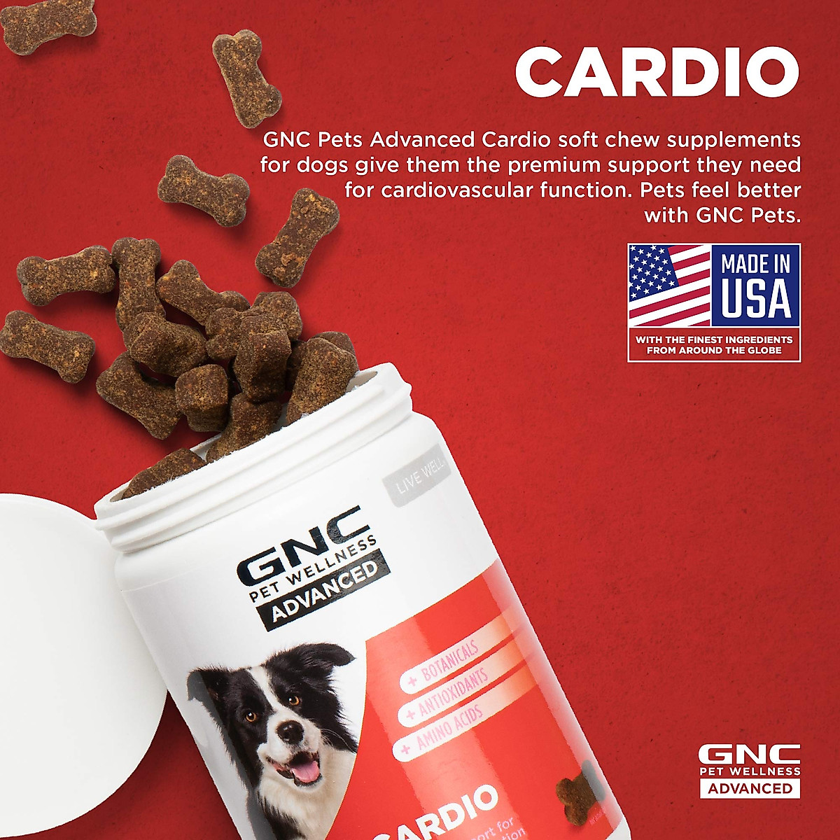 GNC Pets Advanced Dog Supplements for Cardiovascular Support| 90 Ct Soft Chew Dog Supplements for Cardio Health and Heart Health | Easy to Chew Dog Supplements, Made in The USA