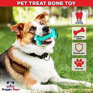 Dog Chew Toy for Moderate Chewers – Non-BPA Natural Rubber Dog Bone – Treat Filling Puppy Chew Toy for Teething – Made in USA( Orange Toy Only) Dog Toys for Dental Care, Teeth Cleaning