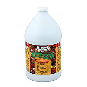 Medina 6-12-6 HastaGro Plant, 1 gallon