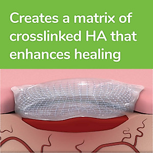 Sentrx Episanis Skin & Wound Gel Spray for Dogs & Cats, Patented BioHance Wound Spray, Cuts, Bites, Hot Spots, Ulcers, 15 ml