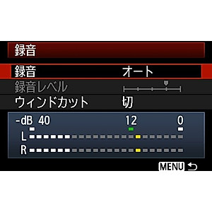 Canon Digital SLR Camera EOS 60D with EF-S18-55mm / EF-S55-250mm Lens Kit - International Version