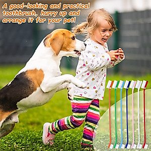 70 Pieces Dog Tooth Brush Pet Toothbrush Soft Grooming Dogs Toothbrush Dog Double Sided Toothbrush Puppy Long Handle Tooth Brush for Large and Small Teeth Cleaning Dental Oral Care (Colorful)