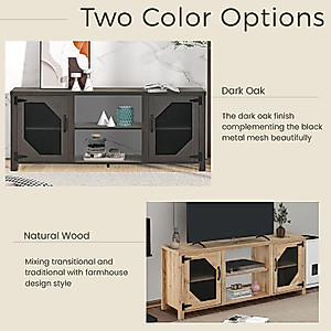 NOLLAM Modern TV Stand for 65" TV, Entertainment Center with Large Storage Space, TV Cabinet with Adjustable Shelves and Magnetic Cabinet Door, Media Console Table for Living Room, Bedroom, Dark Gray
