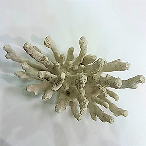 Abbott Collection 20-SEASHORE/40 Large White Flower Coral Decorative Resin Figurine