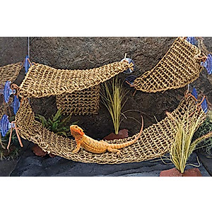 PENN-PLAX Reptology Lizard Lounger Corner Triangle – 100% Natural Seagrass Fiber – Great for Bearded Dragons, Anoles, Geckos, Iguanas, and Other Reptiles – Small