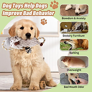 Large Squeaky Dog Toys for Aggressive Chewers,Interactive Tug of War Puppy Toys with Pull Rope,Tough Plush Pet Dog Chew Toys for Small, Medium and Big Dogs