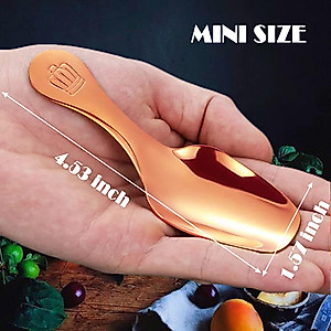 Dessert Spoon Stainless Steel Salt Spoon Short Handle Spoons Coffee Scoop Mini Spoons for Jars, Tea, Sugar, Honey, Spice, Ice Cream, Milk Powder