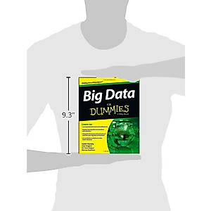 Big Data For Dummies