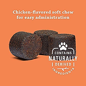 Synovi G4 Dog Joint Supplement Chews, 240-Count, for Dogs of All Ages, Sizes and Breeds