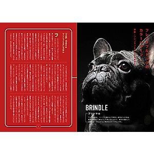 BUHI MANIACS vol.4 フレンチブルドッグの教科書 (BUHI MANIACS vol. 4)