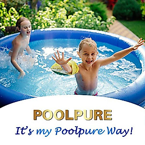 POOLPURE Type VI SPA and Hot Tub Filter Replaces Coleman SaluSpa 90352E, Bestway Filter, Lay-Z Spa, Set of 6